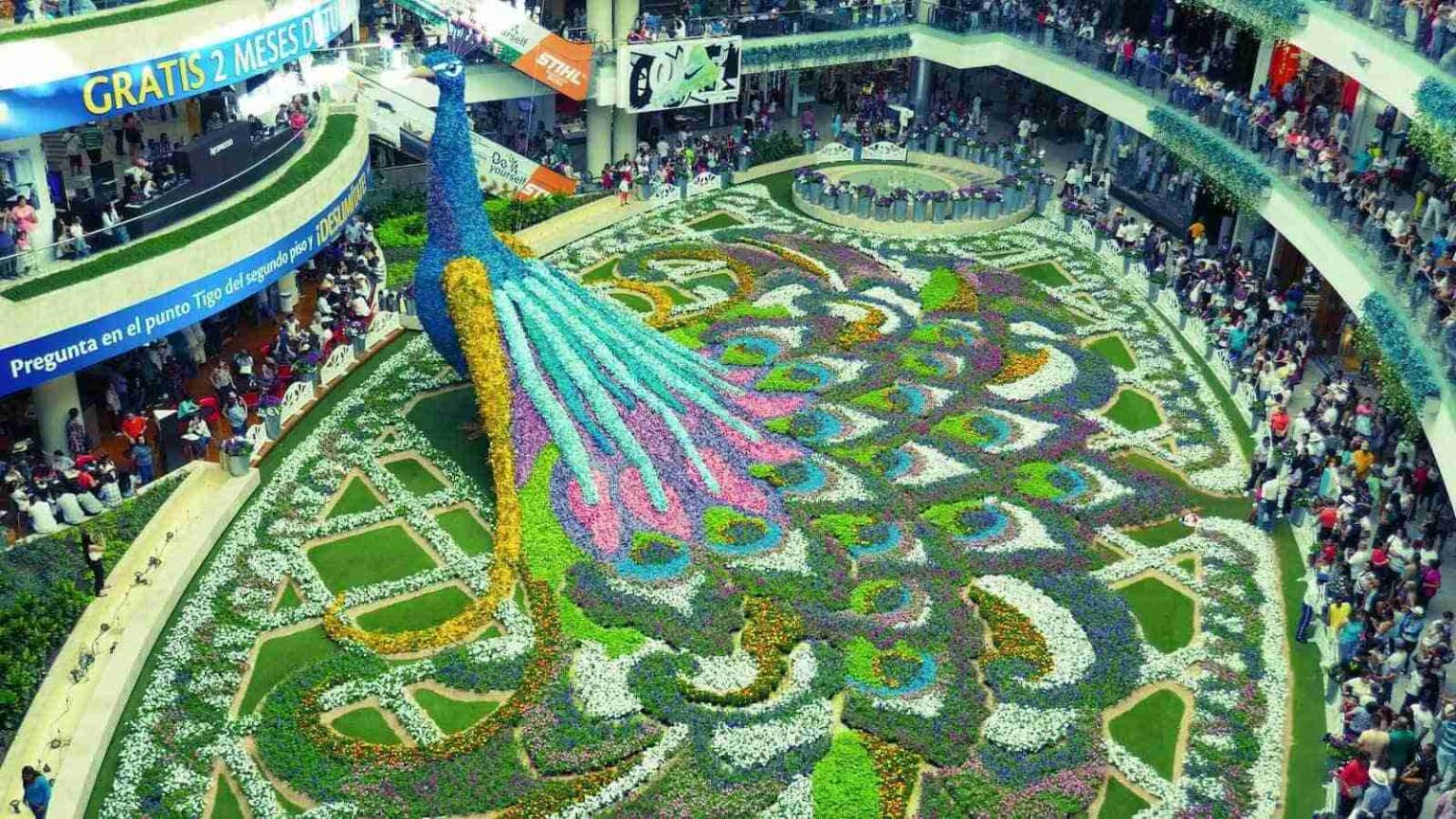 Medellin Flower Festival In Medellin Our Experience As A Gay Couple