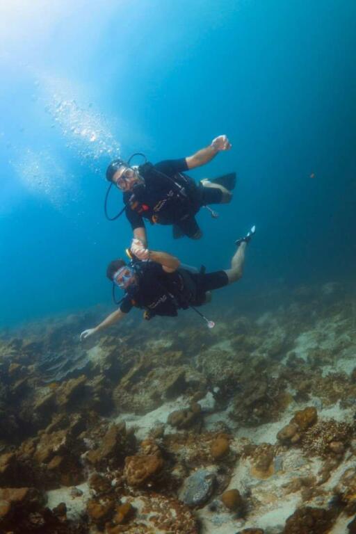 8 gay scuba diving trips and liveaboards not to miss in 2021 / 2022 ...